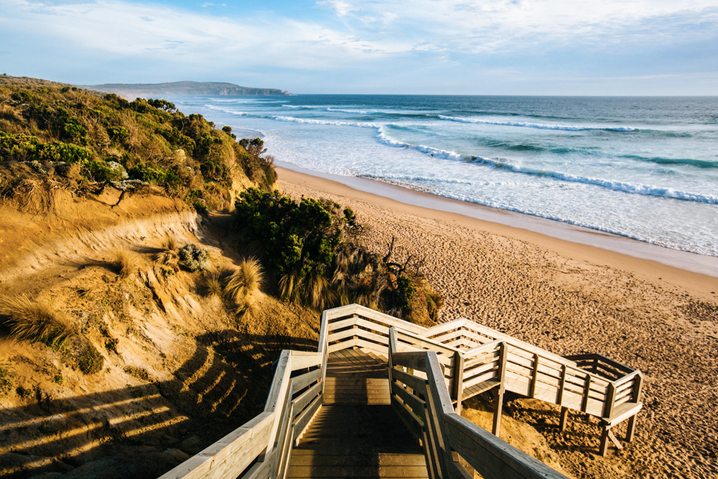 For The Love Of Nature Phillip Island Australia Travel Live Learn
