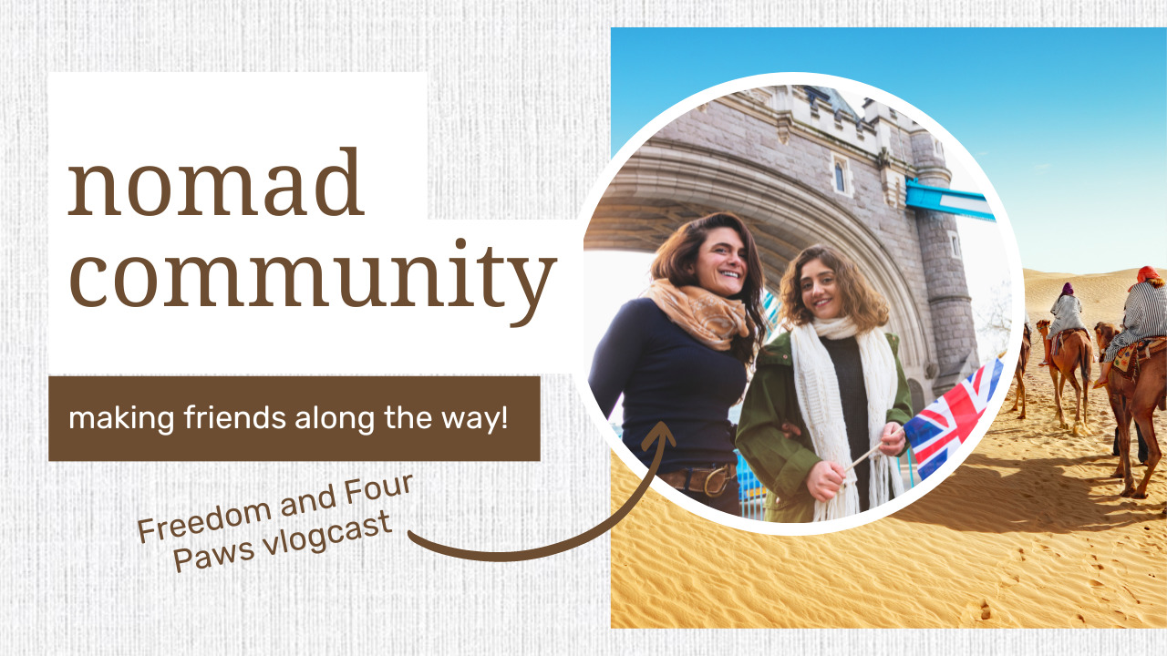 How to make the most of a pet sitting and digital nomad community